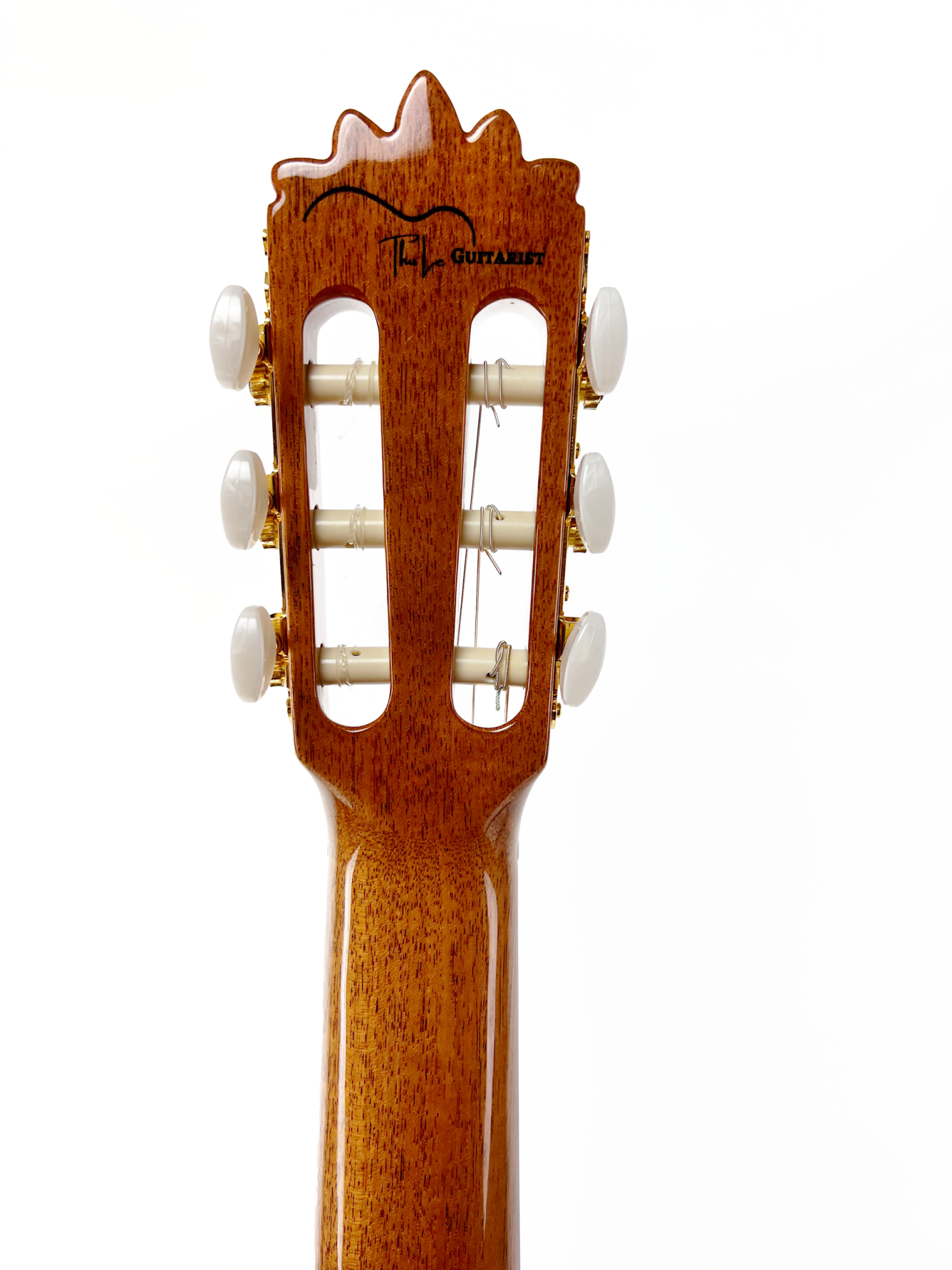 Signature Guitars – Thu Le